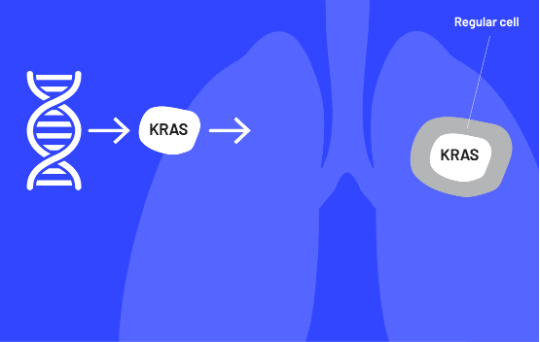 About KRAS G12C Biomarkers & Testing in NSCLC | KRAZATI® (adagrasib)